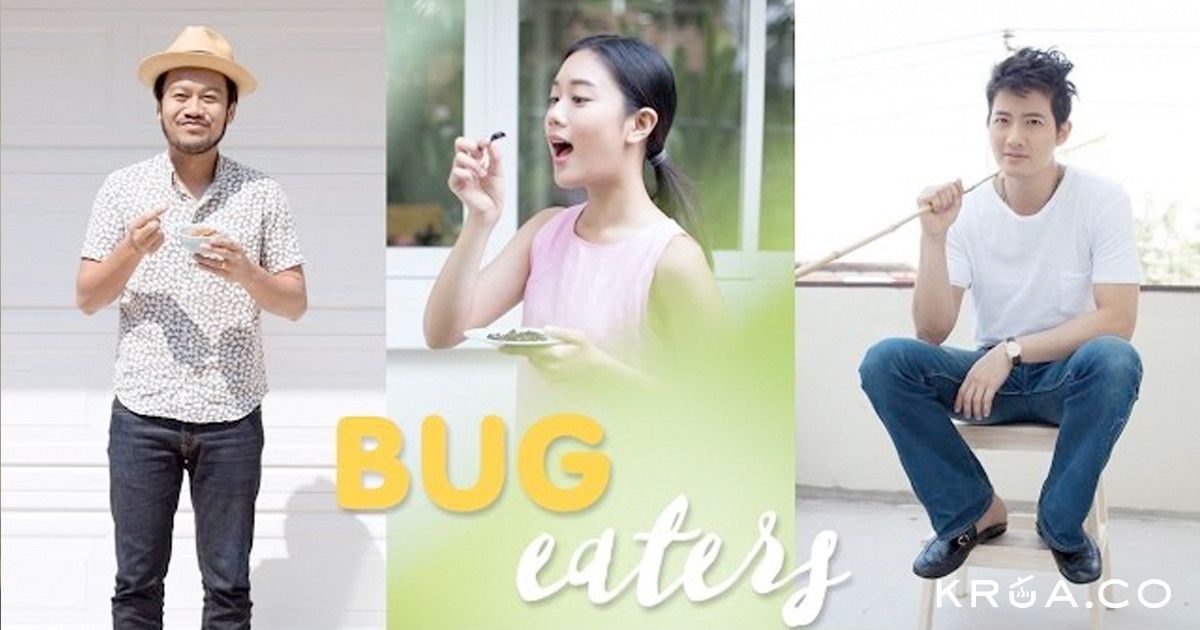 Bug Eaters by KRUA.CO