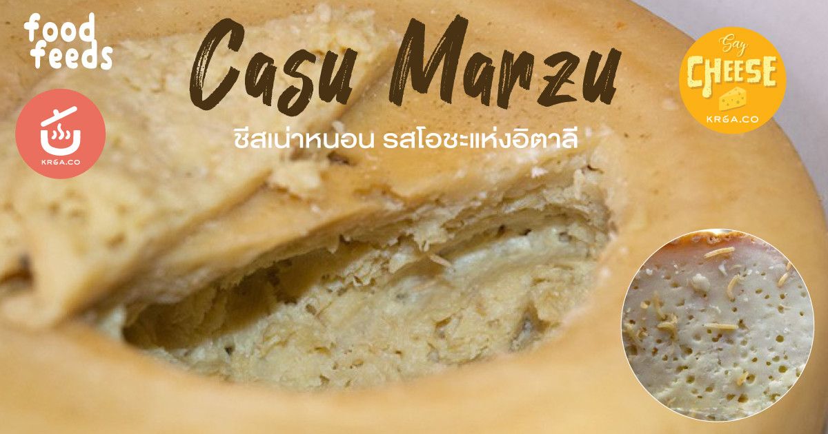 Casu martzu ชีสเน่าหนอน รสโอชะแห่งอิตาลี by KRUA.CO