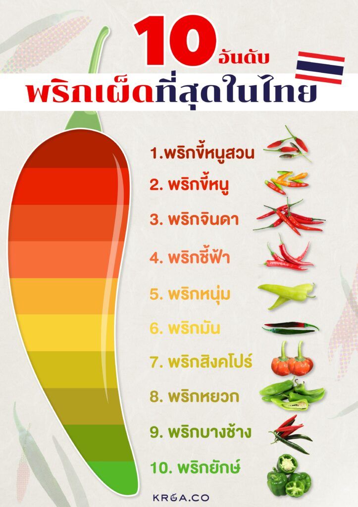 10 อันดับพริกเผ็ดที่สุดในไทย | รวมคุยเรื่องอาหาร