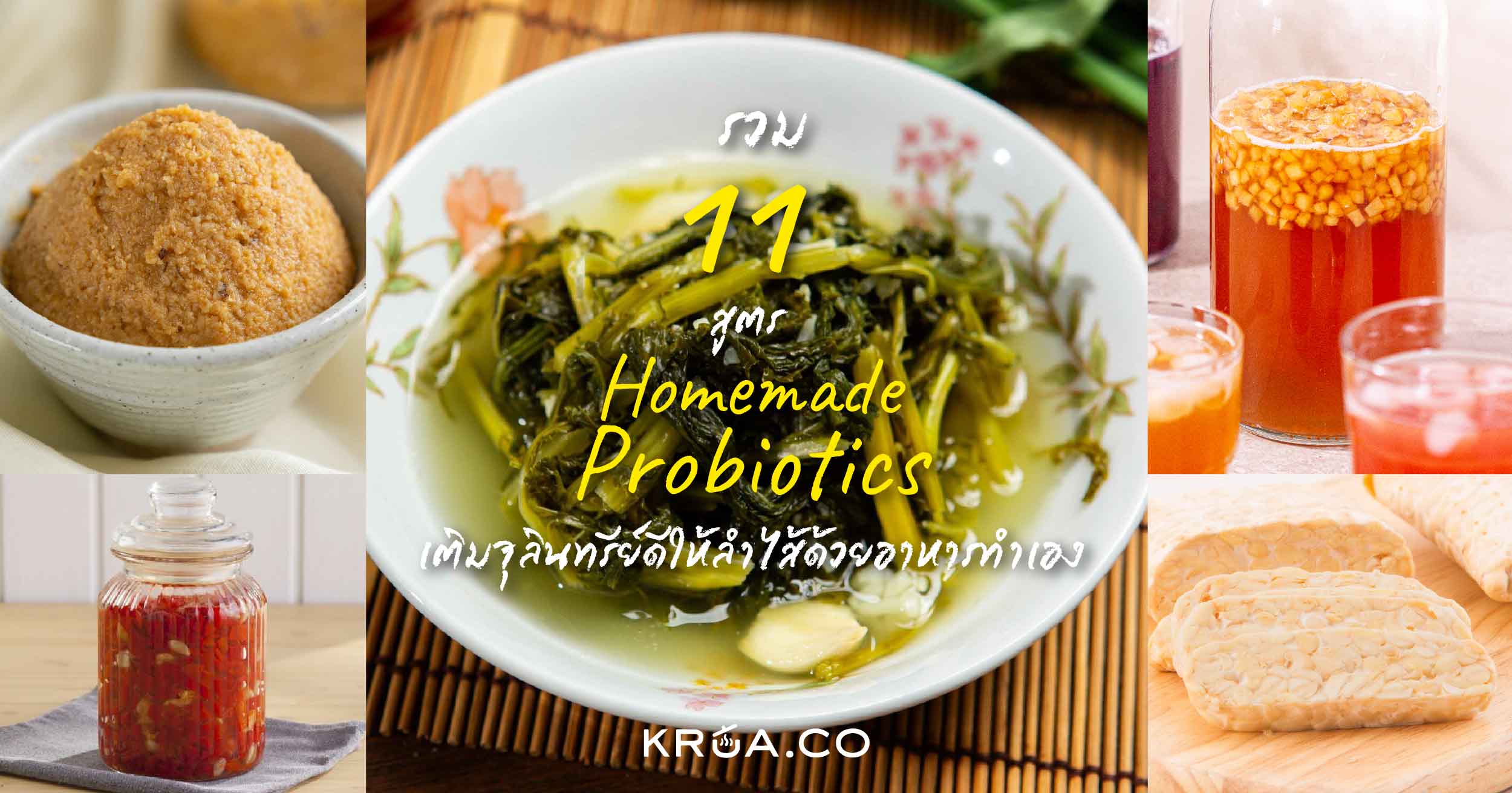 รวม 11 สูตร Homemade Probiotics by KRUA.CO